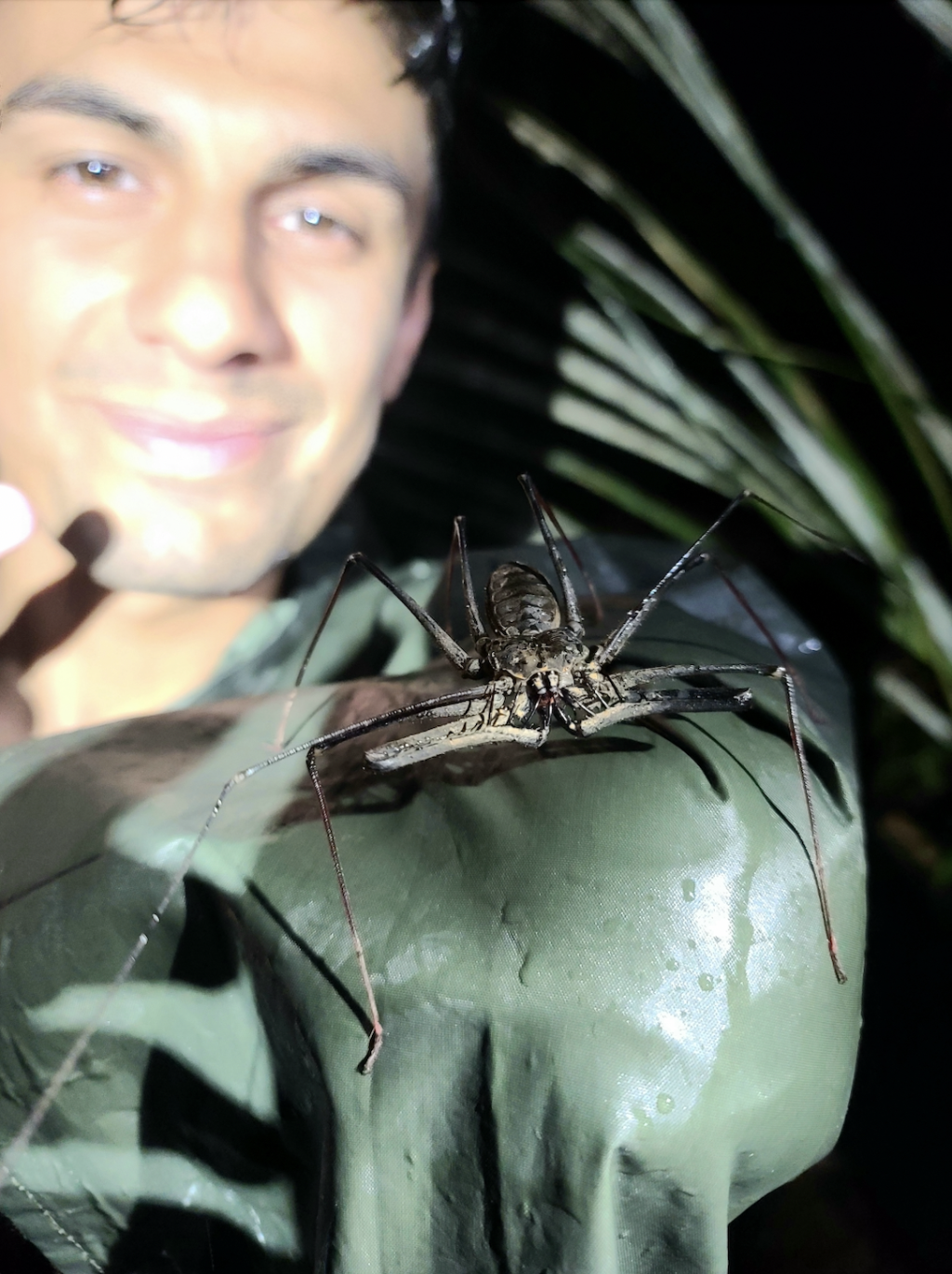 From Breakdancing to Bug-Munching Champion, IE Native James Chavarria Claims Victory on TBS's 'I ...