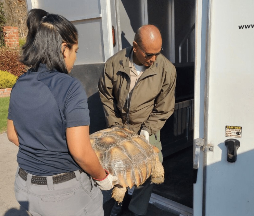 San Bernardino County Animal Care Joins Multi-Agency Effort to Rescue ...