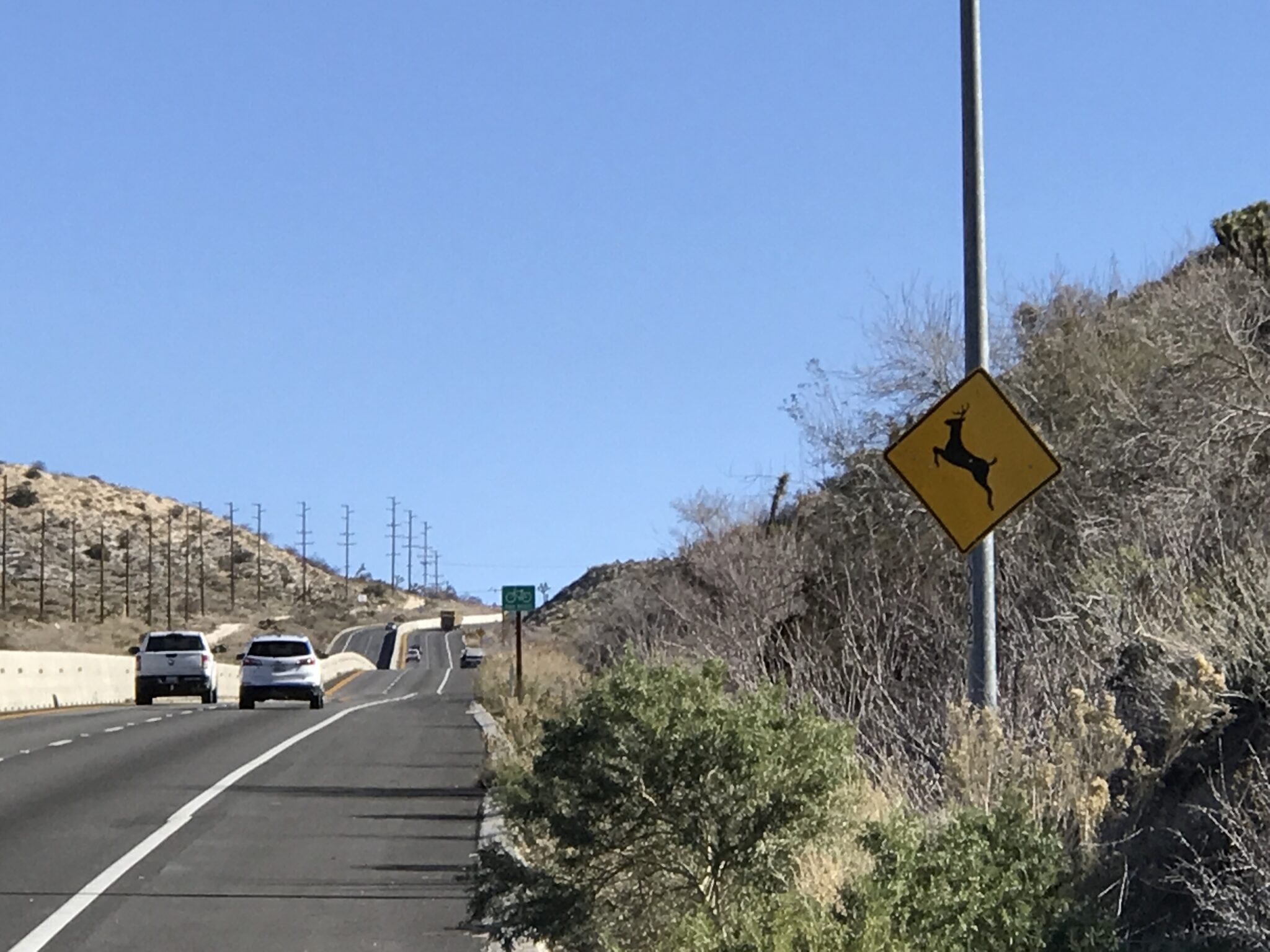 232 Wildlife Deaths in One Year Spark Plans for Two SR-62 Crossings in ...